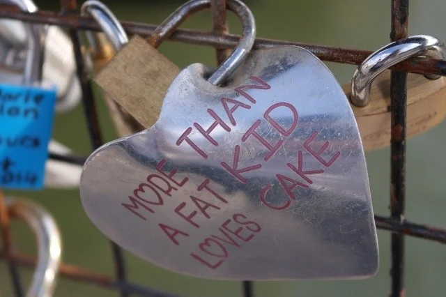 17 Photos of Love Locks, Pont des Arts & Pont Neuf Bridge, Paris