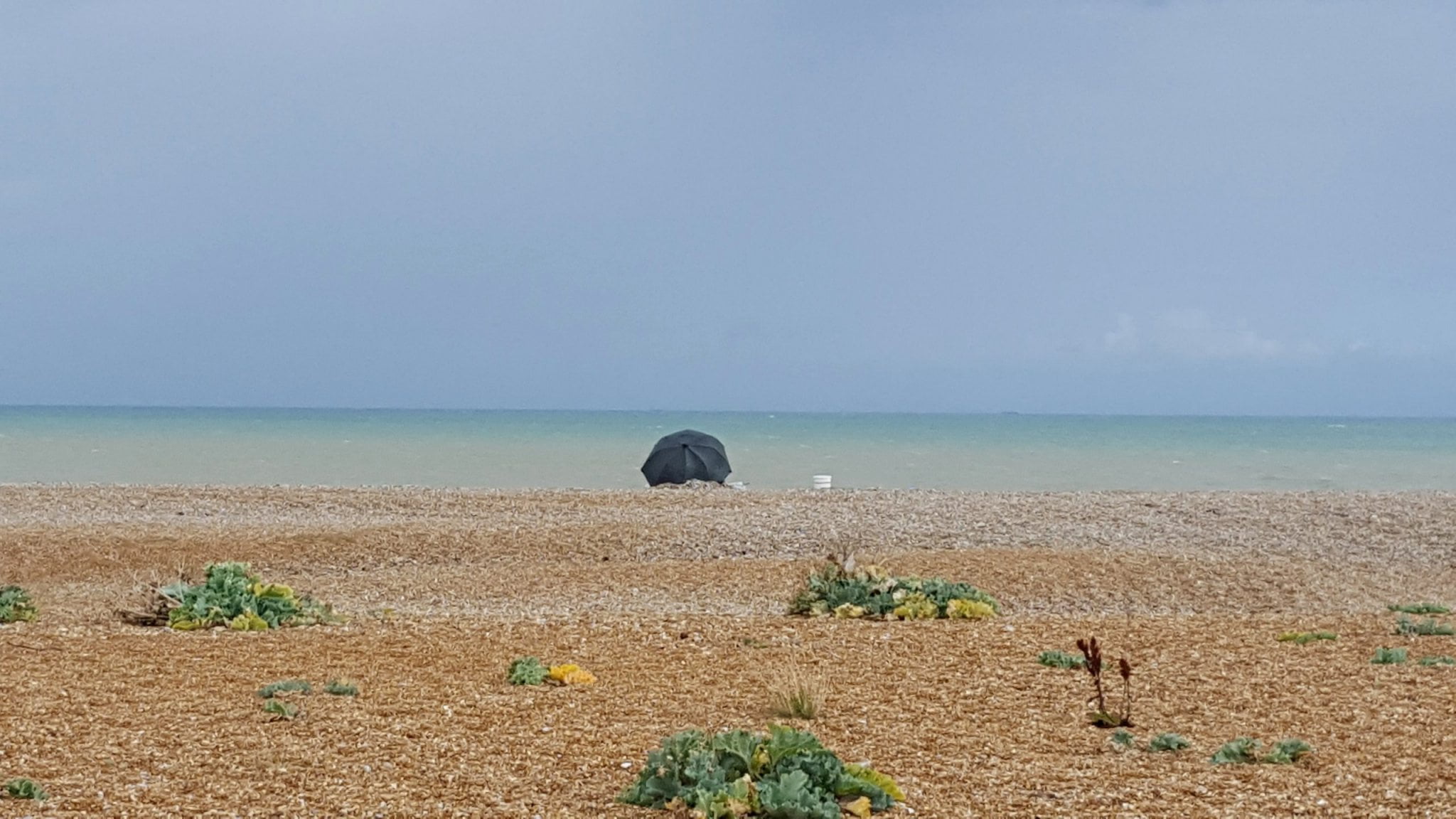 In Photos: Why Dungeness Is Worth Visiting - Things To Do & History ...