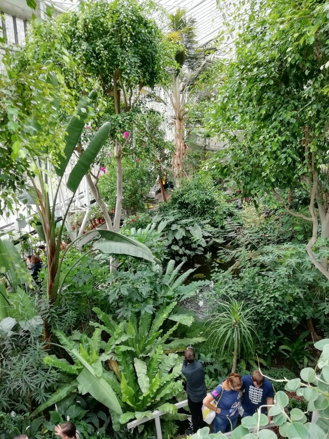 (Photos) Barbican Conservatory Review & History | Elite Travel Blog