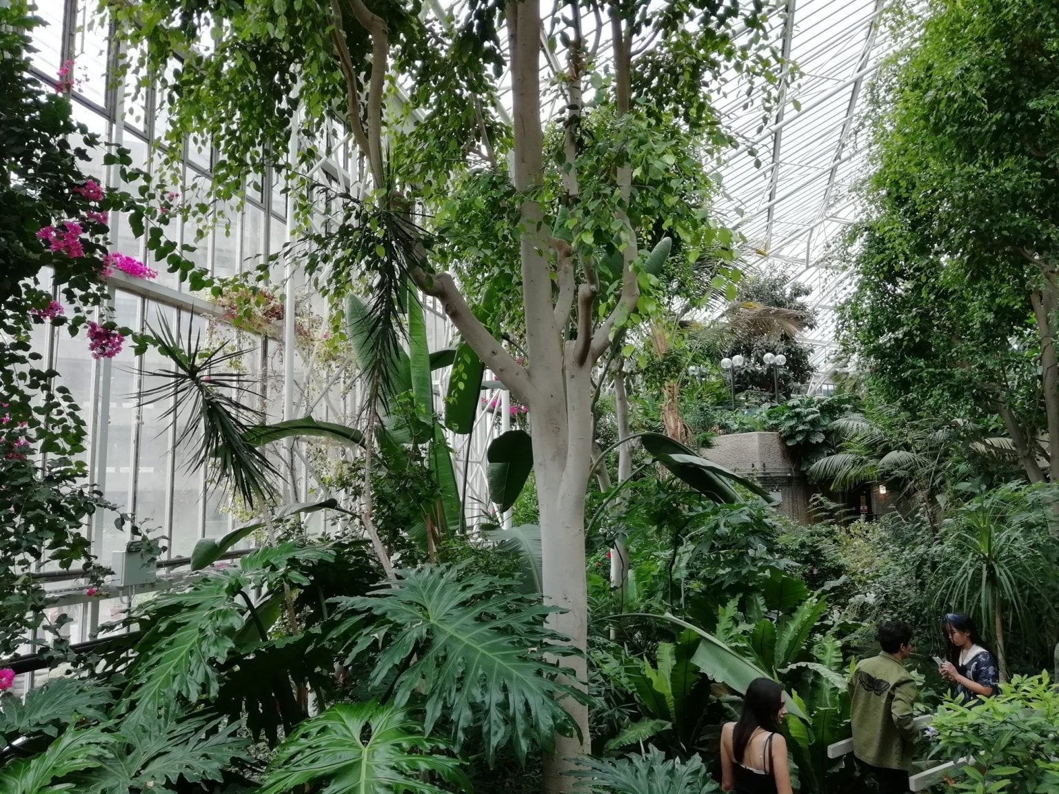 (Photos) Barbican Conservatory Review & History | Elite Travel Blog