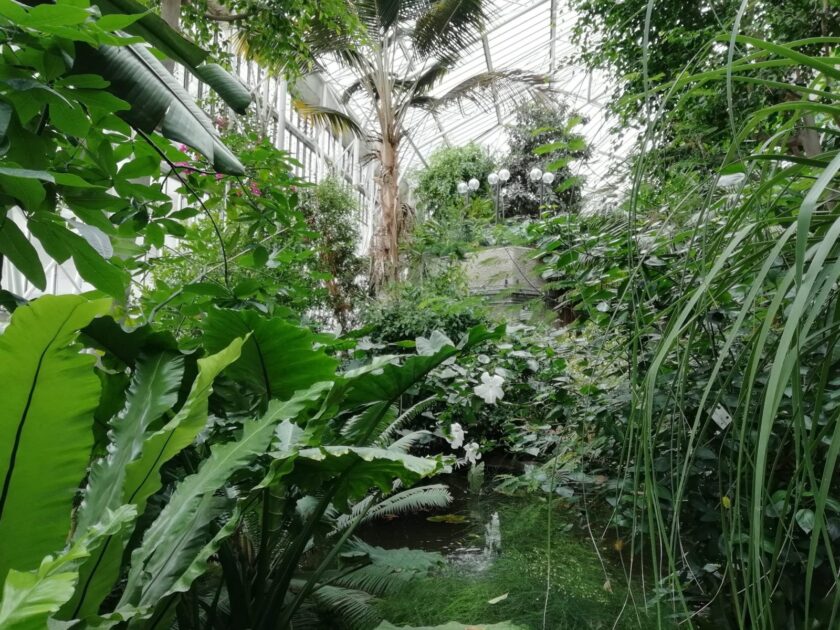 (Photos) Barbican Conservatory Review & History | Elite Travel Blog
