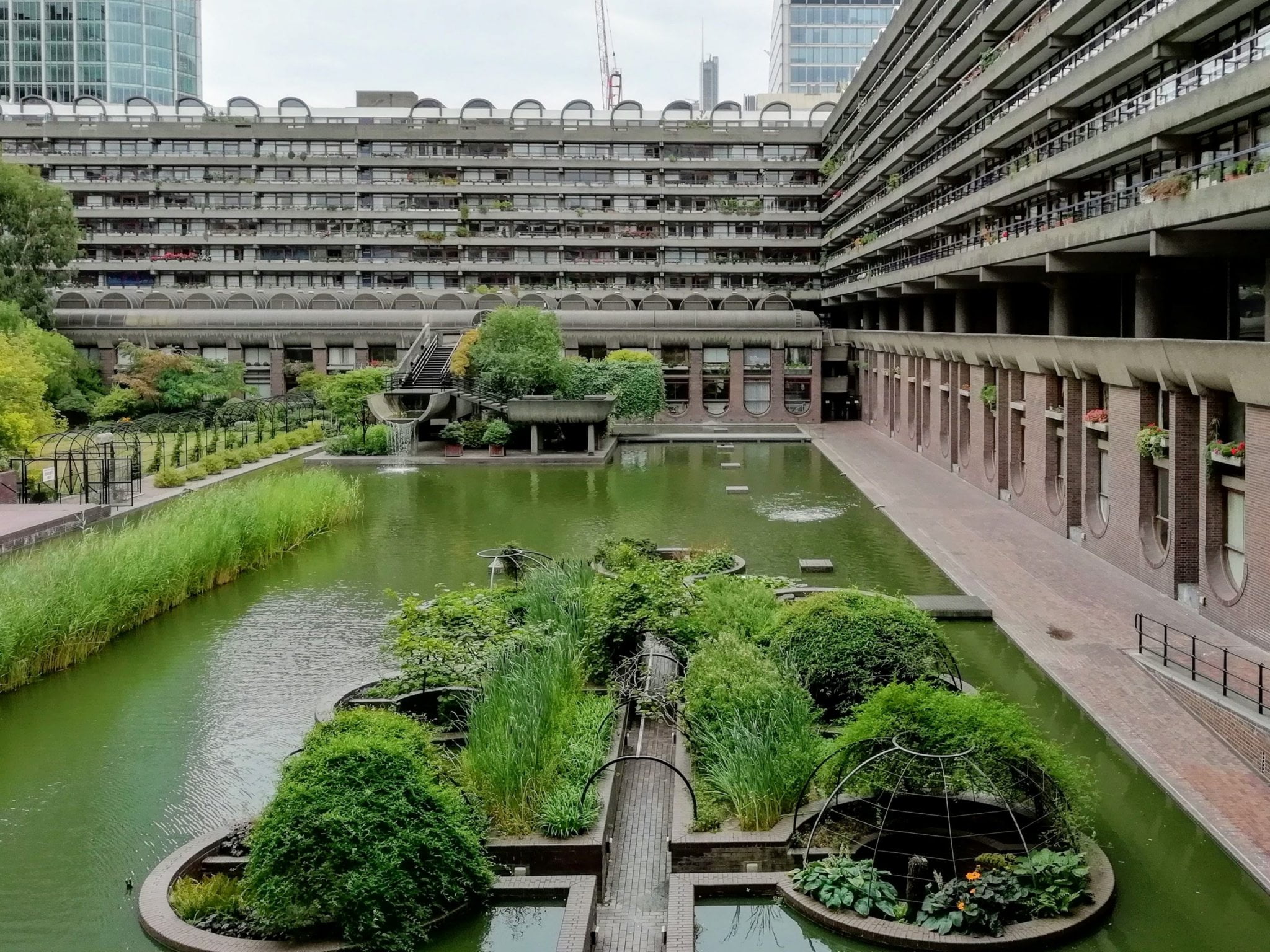 (Photos) Barbican Conservatory Review & History | Elite Travel Blog