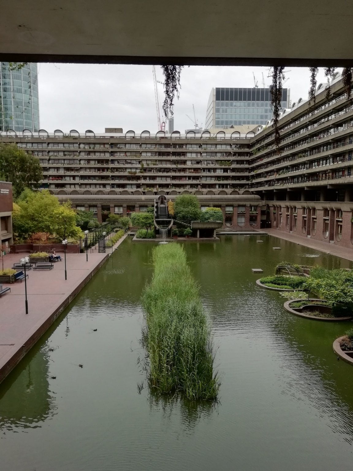 (Photos) Barbican Conservatory Review & History | Elite Travel Blog