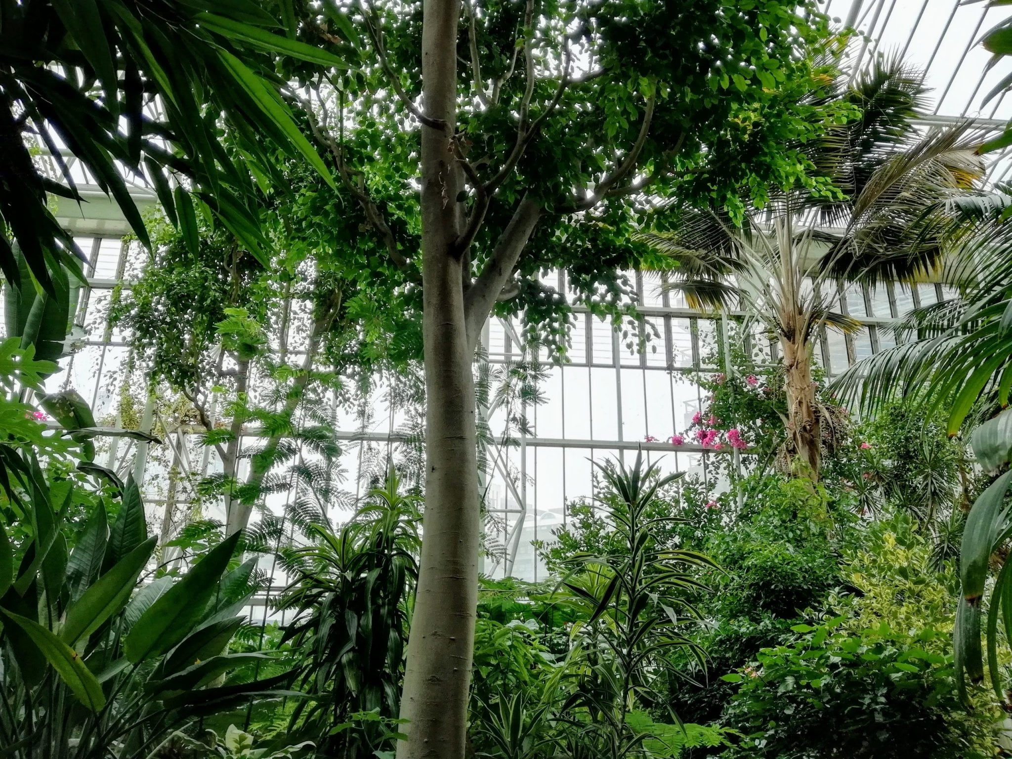 (Photos) Barbican Conservatory Review & History | Elite Travel Blog