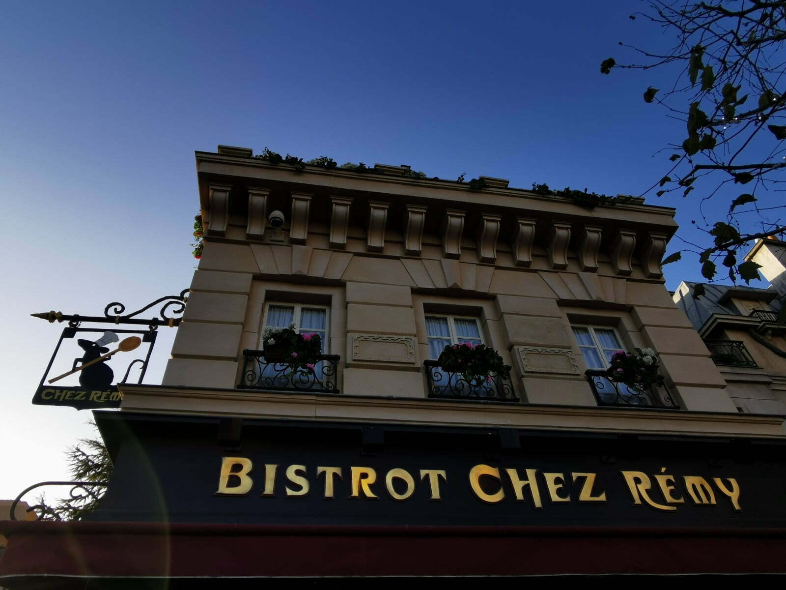 Bistrot Chez Remy Review: Is The Ratatouille Restaurant Worth It ...