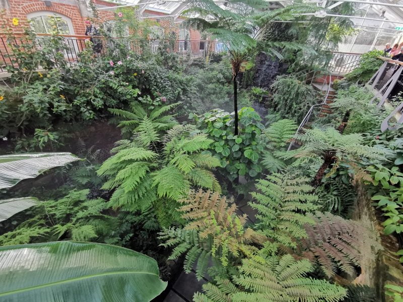 Inside Belfast Botanic Gardens Palm House: History & Visitor Guide ...