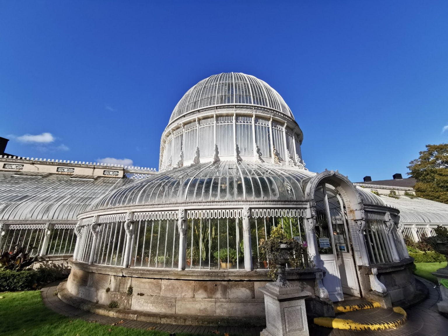 Inside Belfast Botanic Gardens Palm House: History & Visitor Guide ...