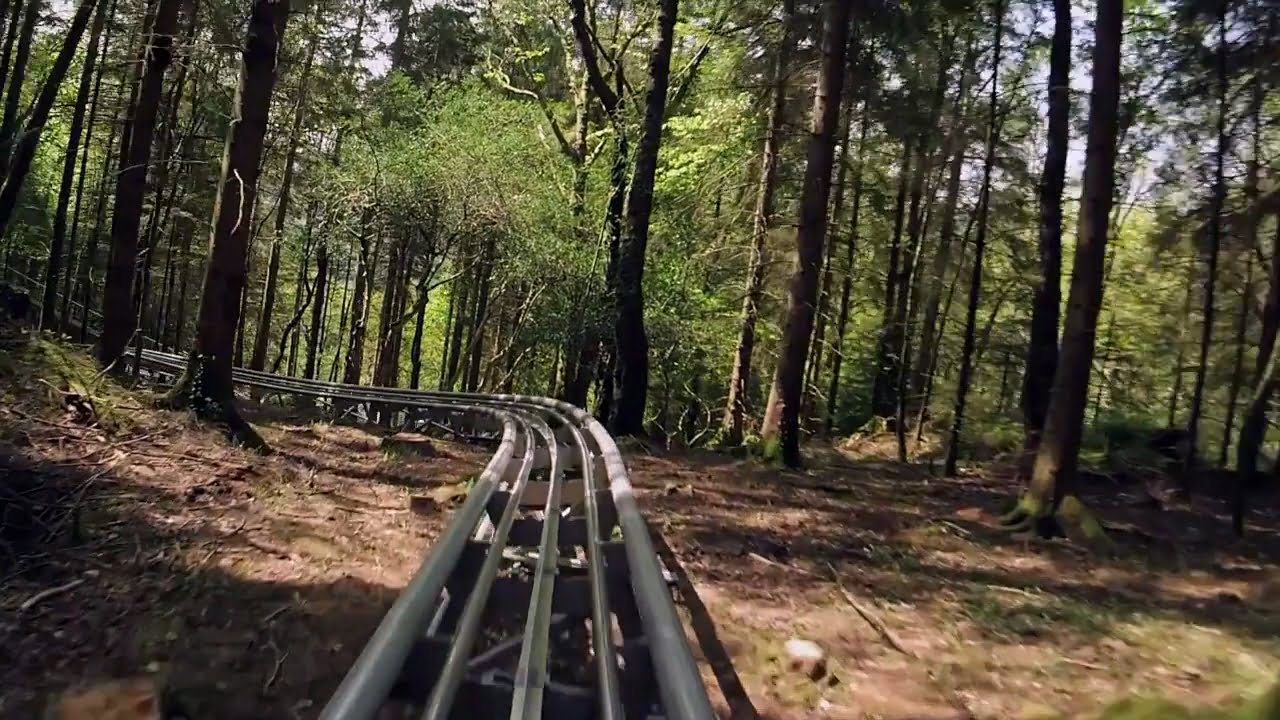 Fforest Coaster Review At Zip World - Is It Worth It? | Elite Travel Blog