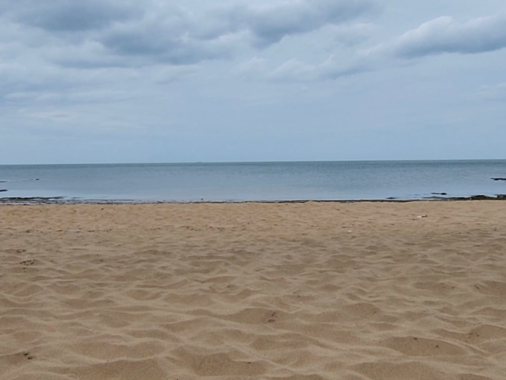 Visit Botany Bay Tips: History, Attractions, Transport | Elite Travel Blog
