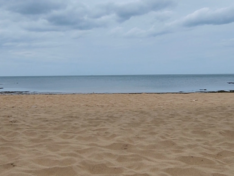 Visit Botany Bay Tips: History, Attractions, Transport | Elite Travel Blog