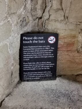 See Inside Wonka's Factory: Bodiam Castle Review | Elite Travel Blog