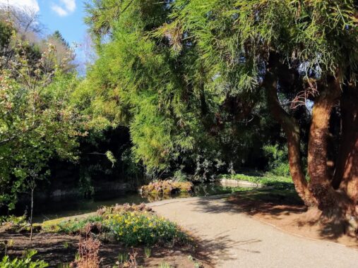 Chartwell Review, History & Visitor Guide | Elite Travel Blog
