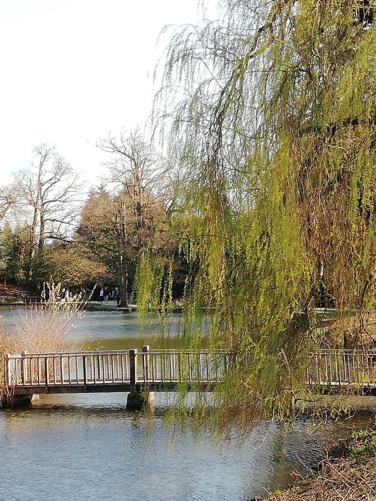 Chartwell Review, History & Visitor Guide | Elite Travel Blog